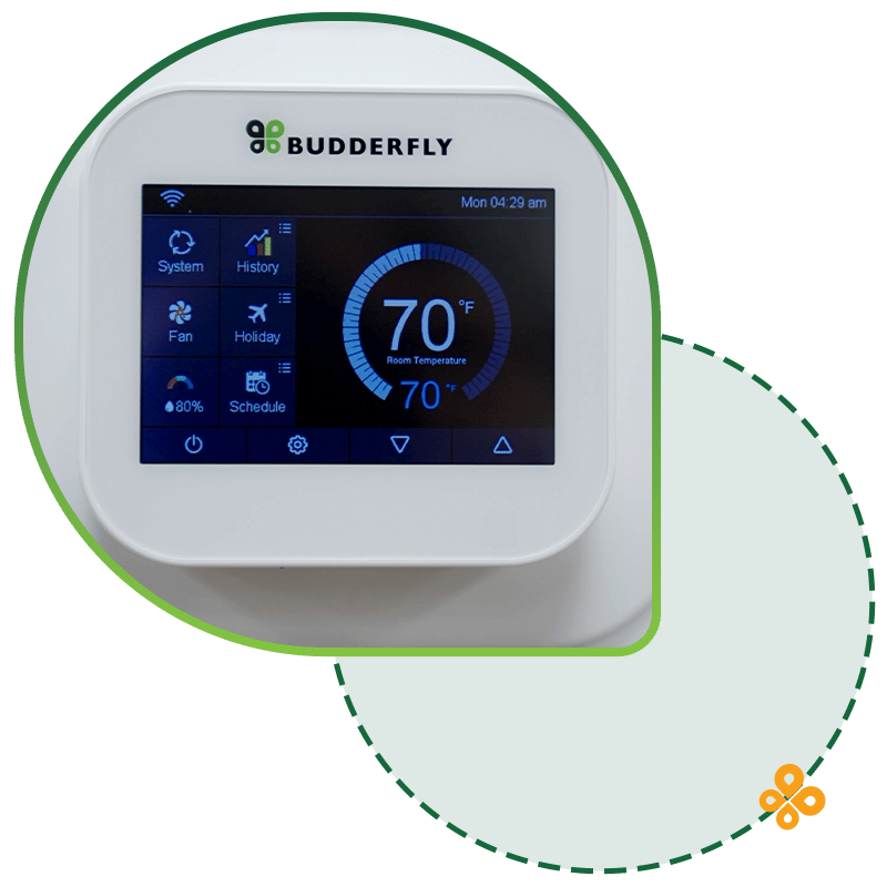 Case Study: Budderfly + KFC